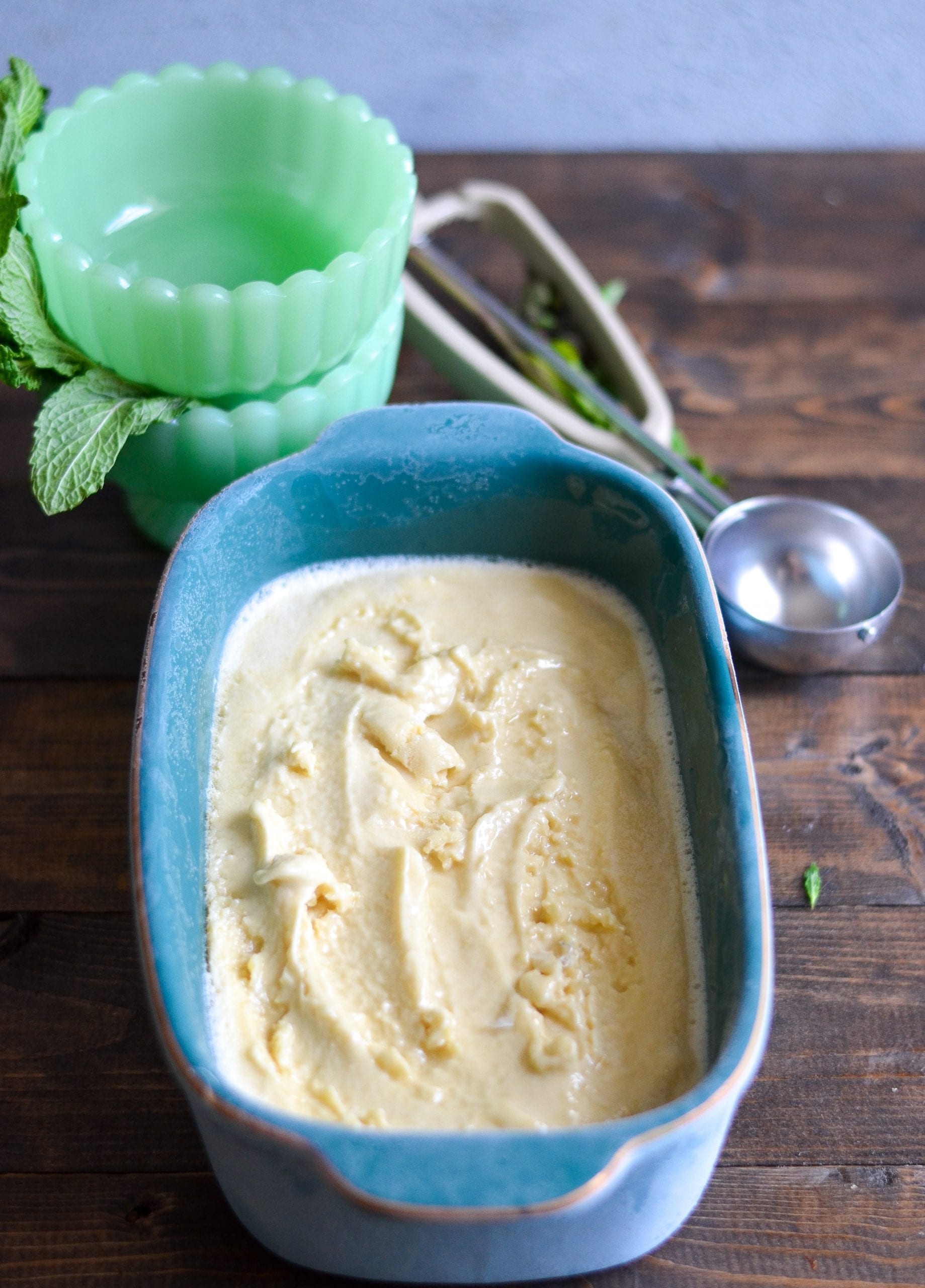 Mint Ice Cream with Bourbon Magic Shell - My Modern Cookery