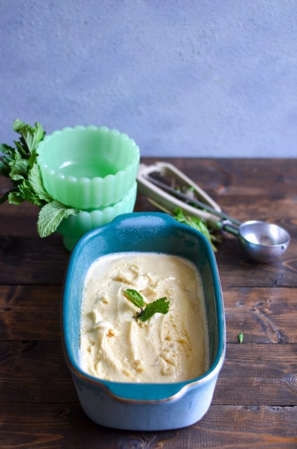 Mint Ice Cream with Bourbon Magic Shell - My Modern Cookery