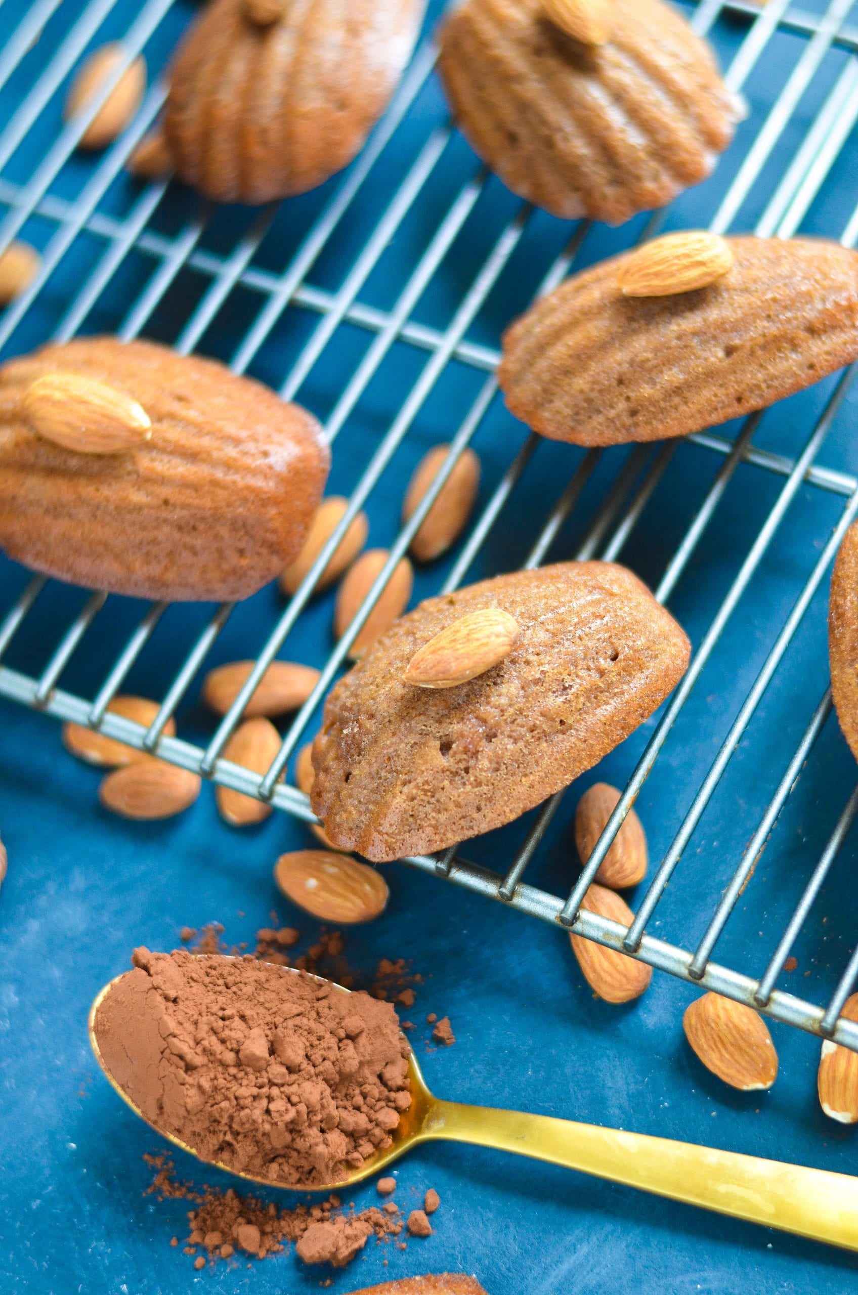 Chocolate Almond Madeleines - My Modern Cookery