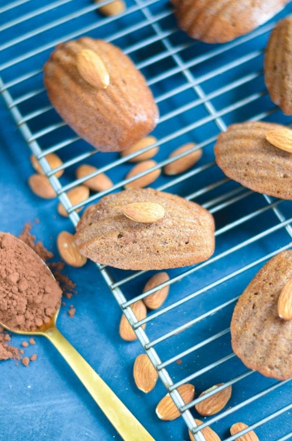 Chocolate Almond Madeleines - My Modern Cookery