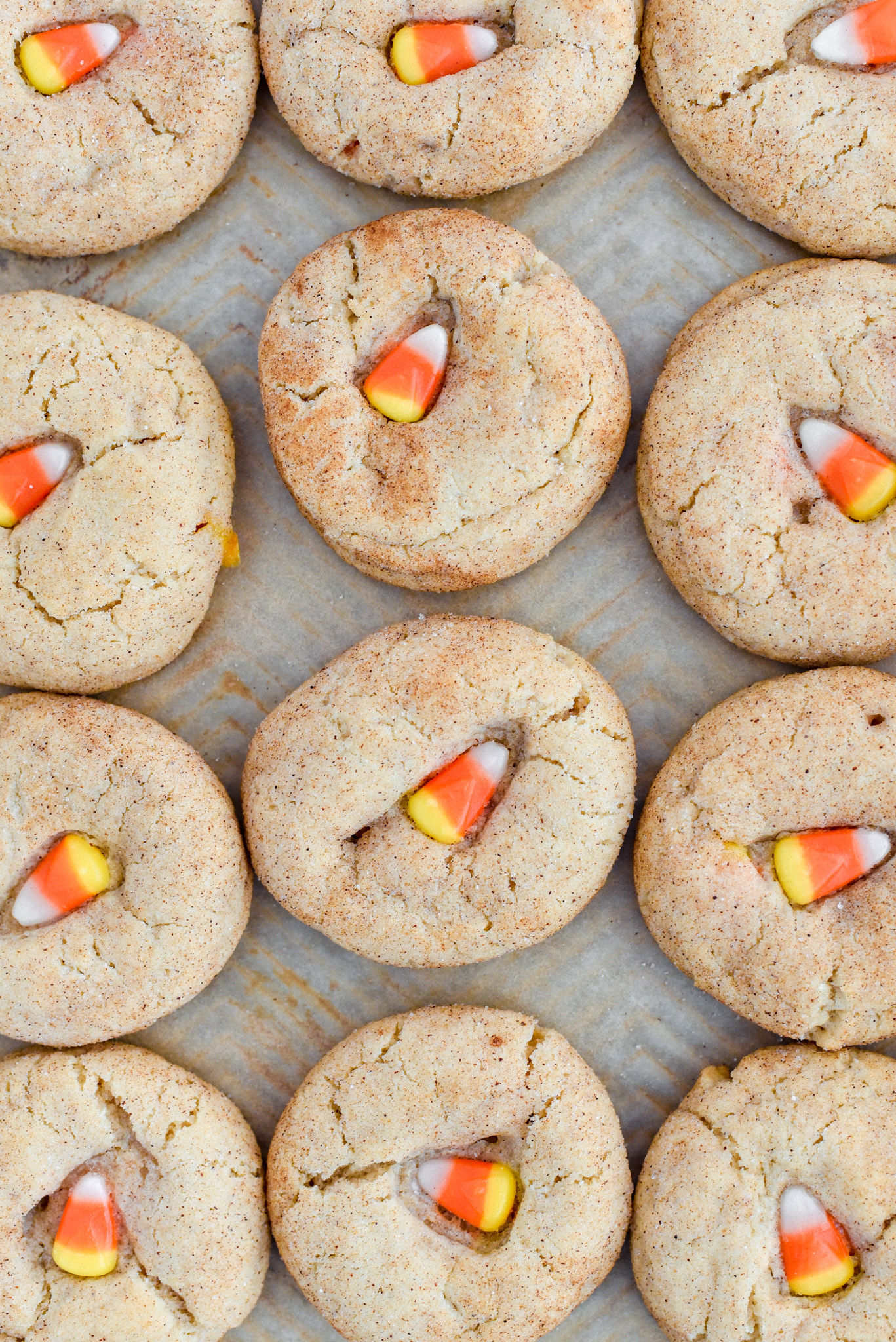 Candy Corn Snickerdoodles - My Modern Cookery